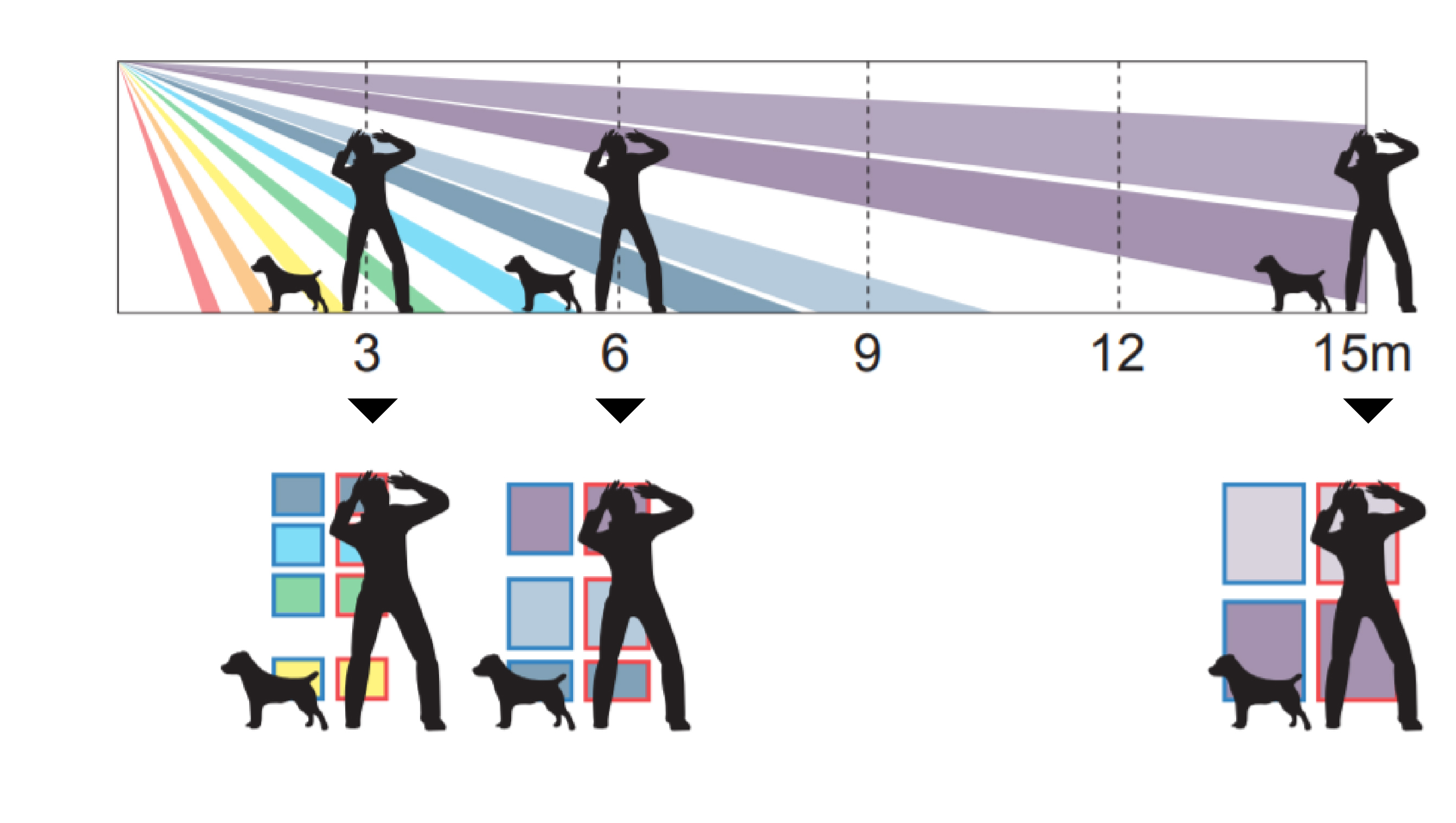 Accommodating pets with indoor intrusion sensors | OPTEX Europe